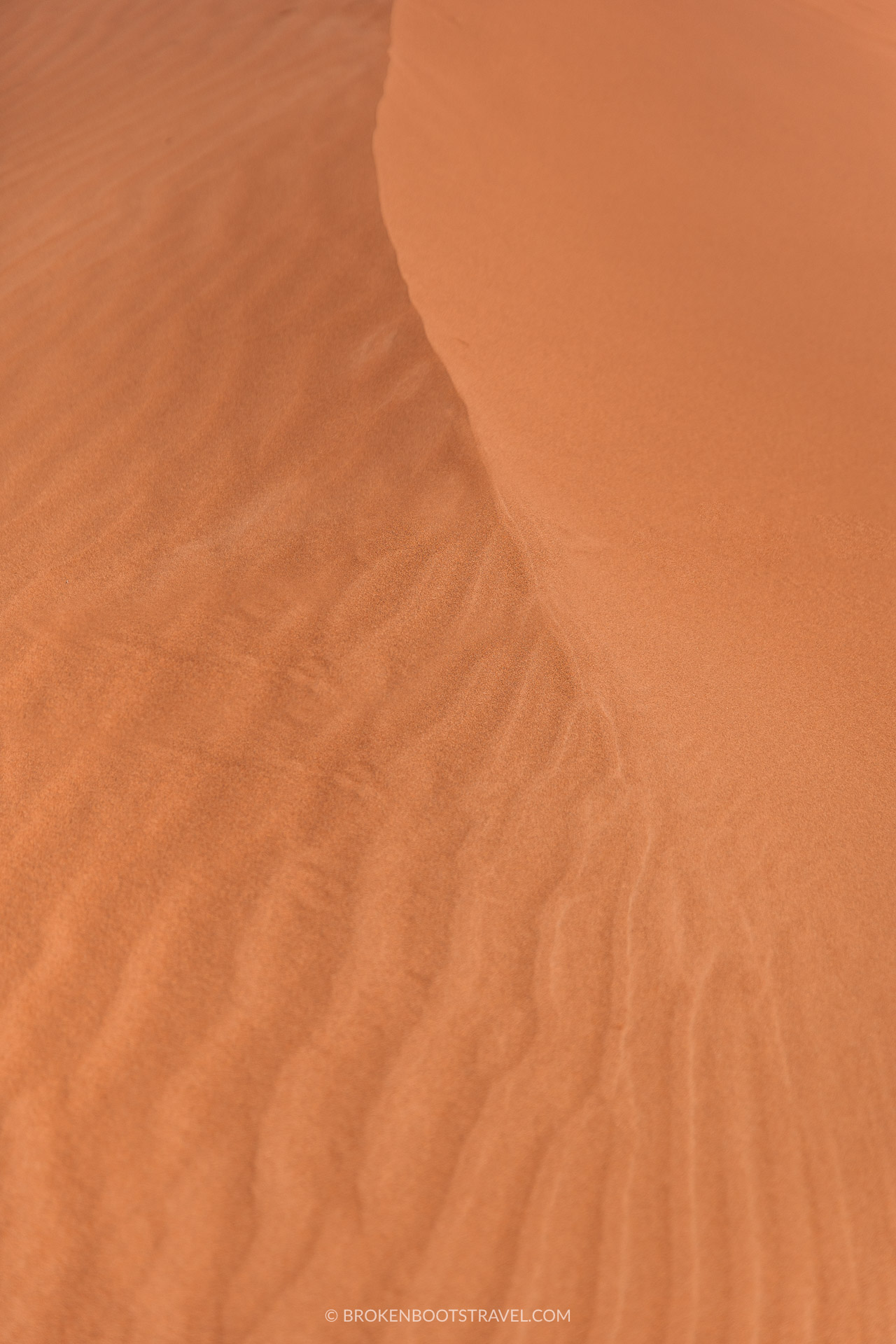 The 12 Best Things to do in Mleiha - The UAE's Archaeological Hub