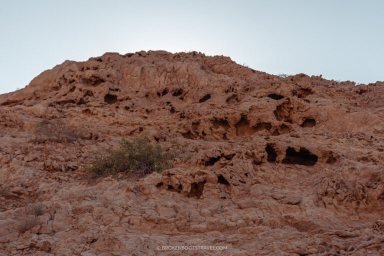 The 12 Best Things to do in Mleiha - The UAE's Archaeological Hub
