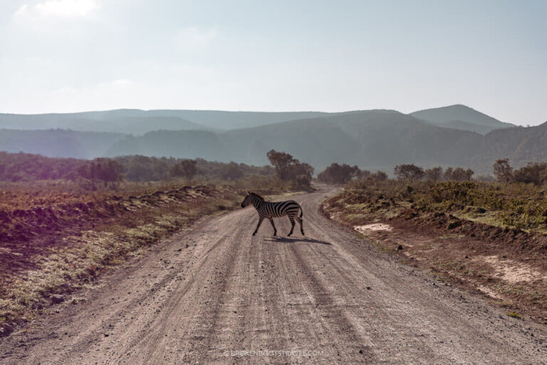 The Ultimate Guide to Biking Hell's Gate National Park, Kenya